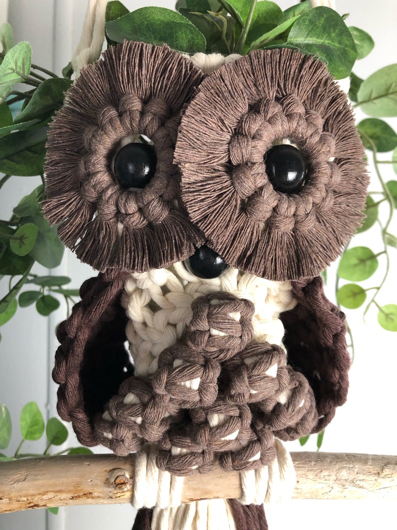 Macrame Owl Plant Hanger - Etsy