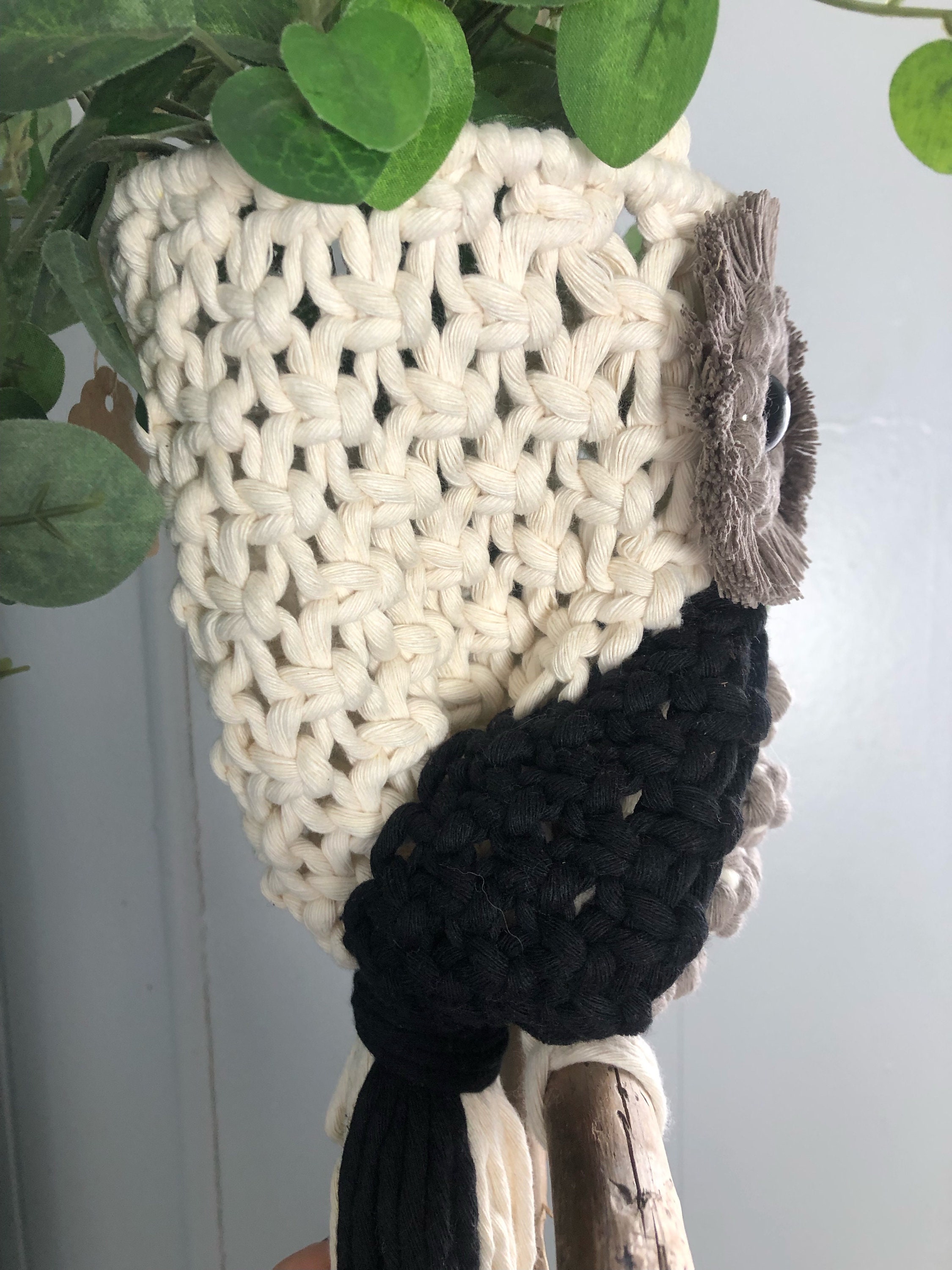 Macrame Owl Plant Hanger - Etsy