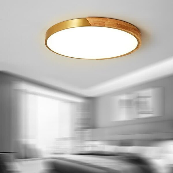 Gold Round Ceiling Lamp - Etsy