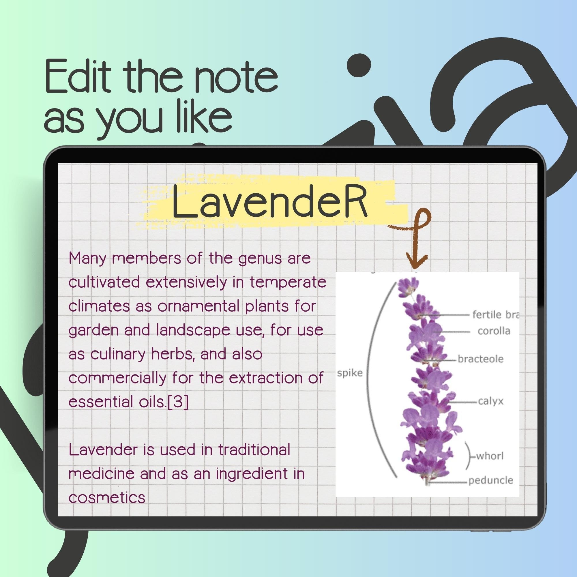 Teacher Study Digital Cute Planner Font Handwritten Font Goodnotes ...