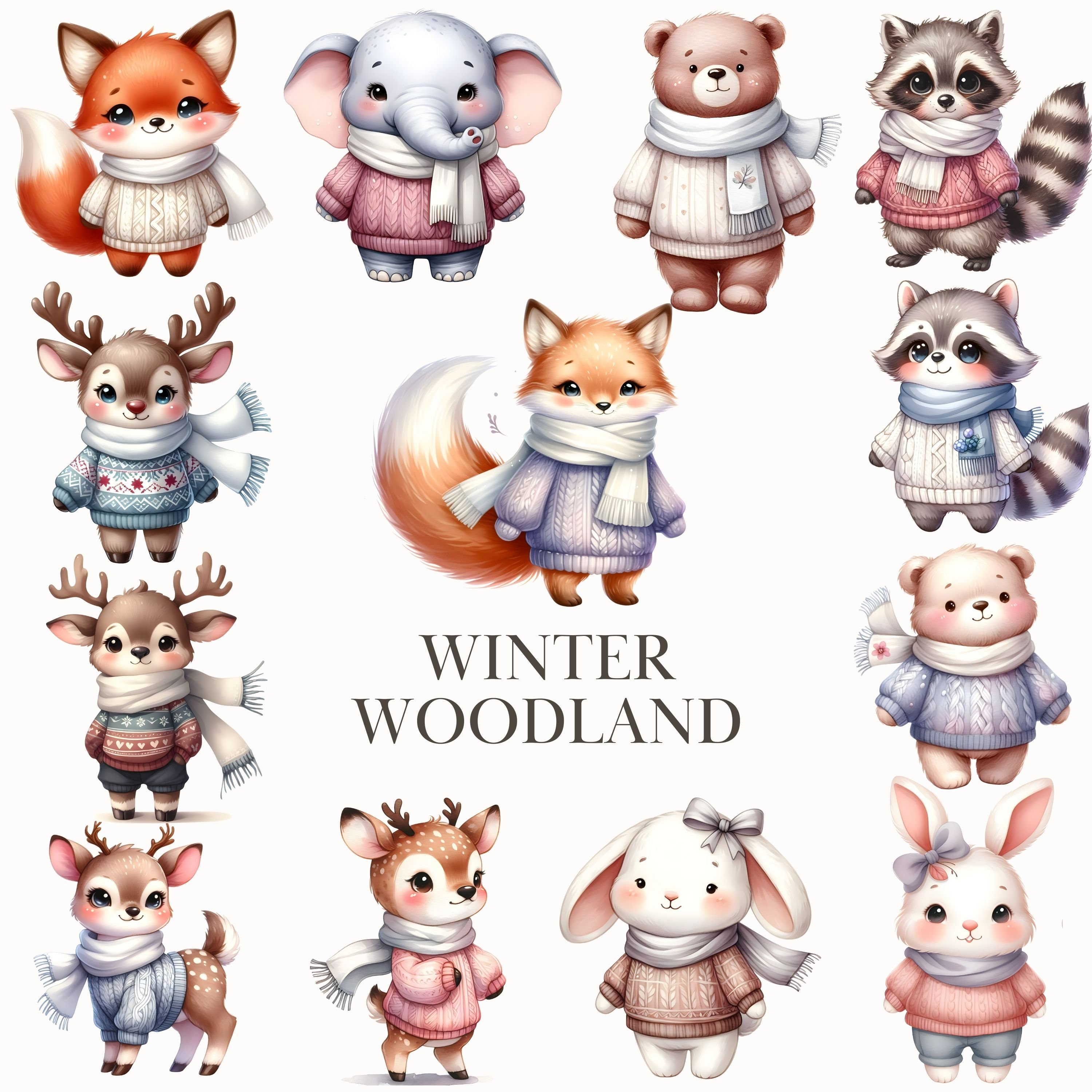 Cute Woodland Animal Clipart, Forest Animals, Winter Clipart, Digital ...