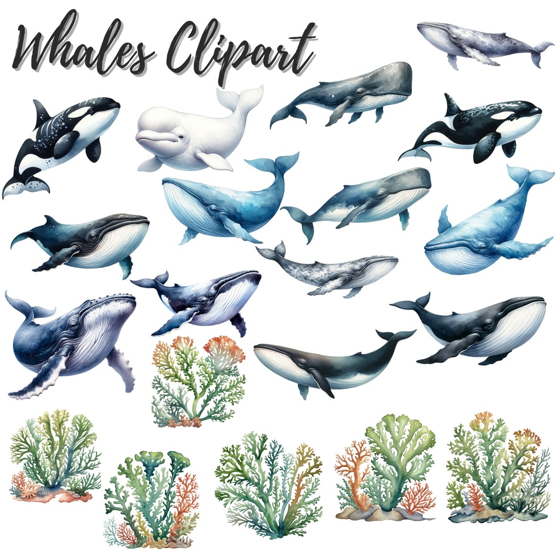 Cute Ocean, Whale Clipart Watercolor Element,whales Clipart, Marine ...