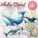 Cute Ocean, Whale Clipart Watercolor Element,whales Clipart, Marine ...