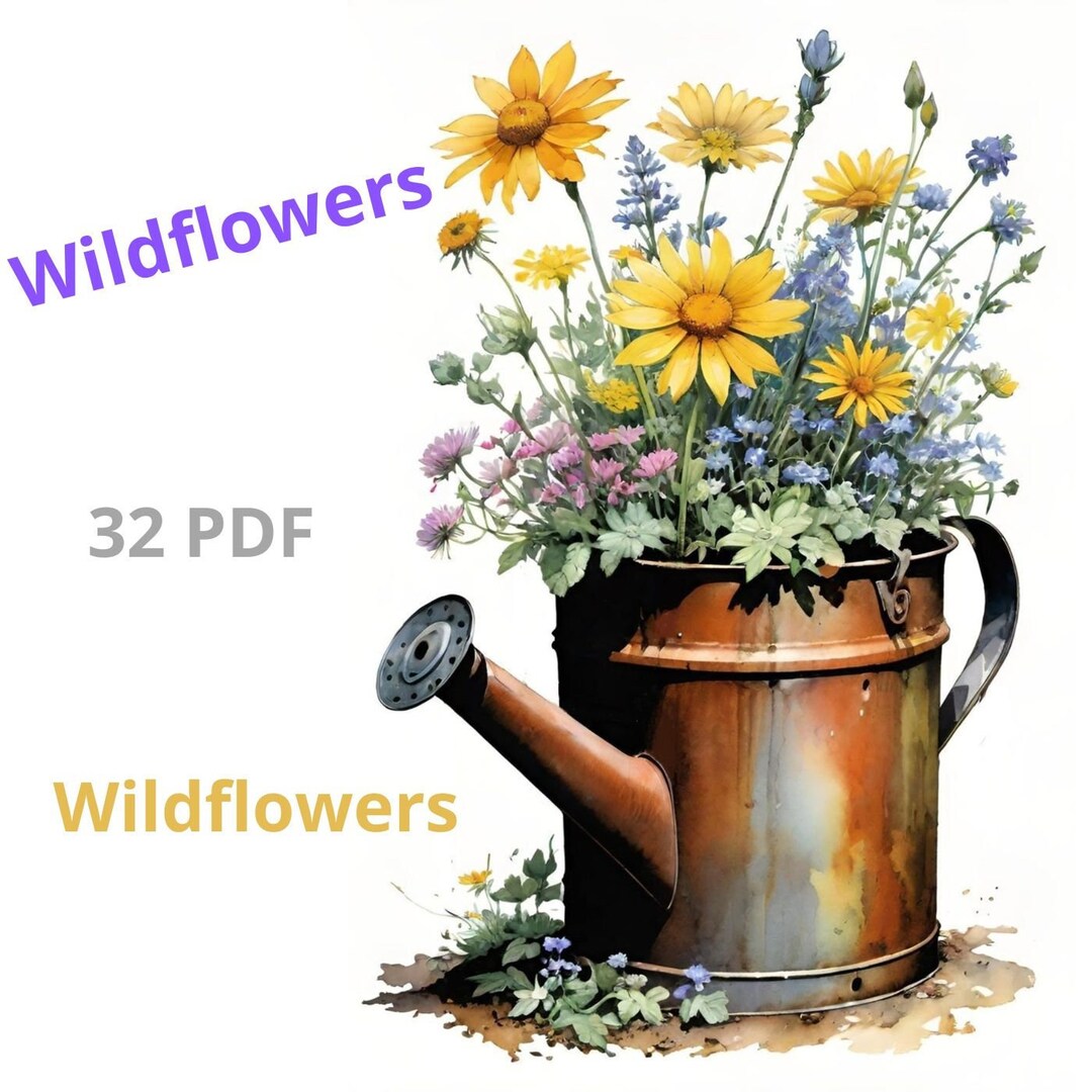 Wildflowers in Old Rusty Buckets and Watering Cans 32 Separate PDF ...