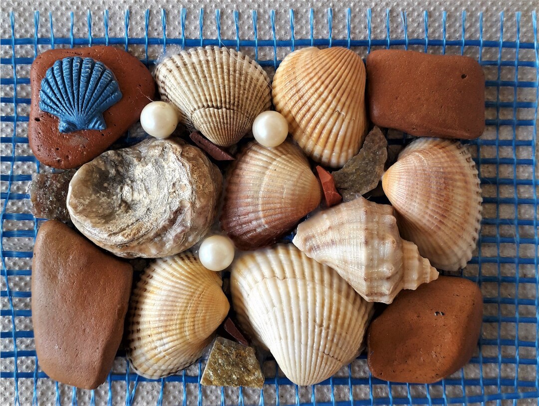 Shell Mosaic Mosaic Frieze Mosaic Wall Decor Natural Material Gift for ...