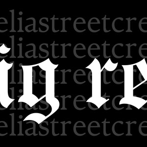 Big Rep Black Snake Reputation Coffee Mug Taylor Swift Swiftie Gift for ...