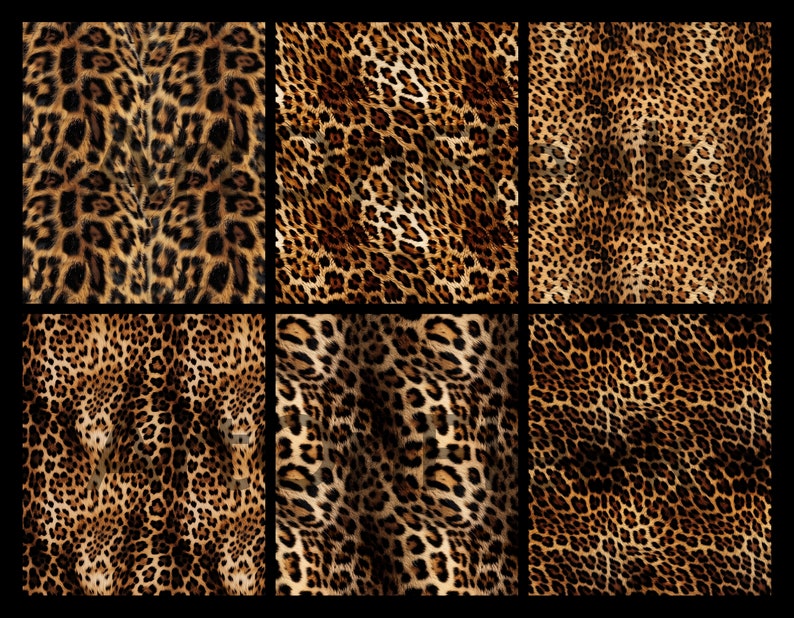 Leopard Digital Paper Animal Skin Seamless Pattern Textures Leopard ...