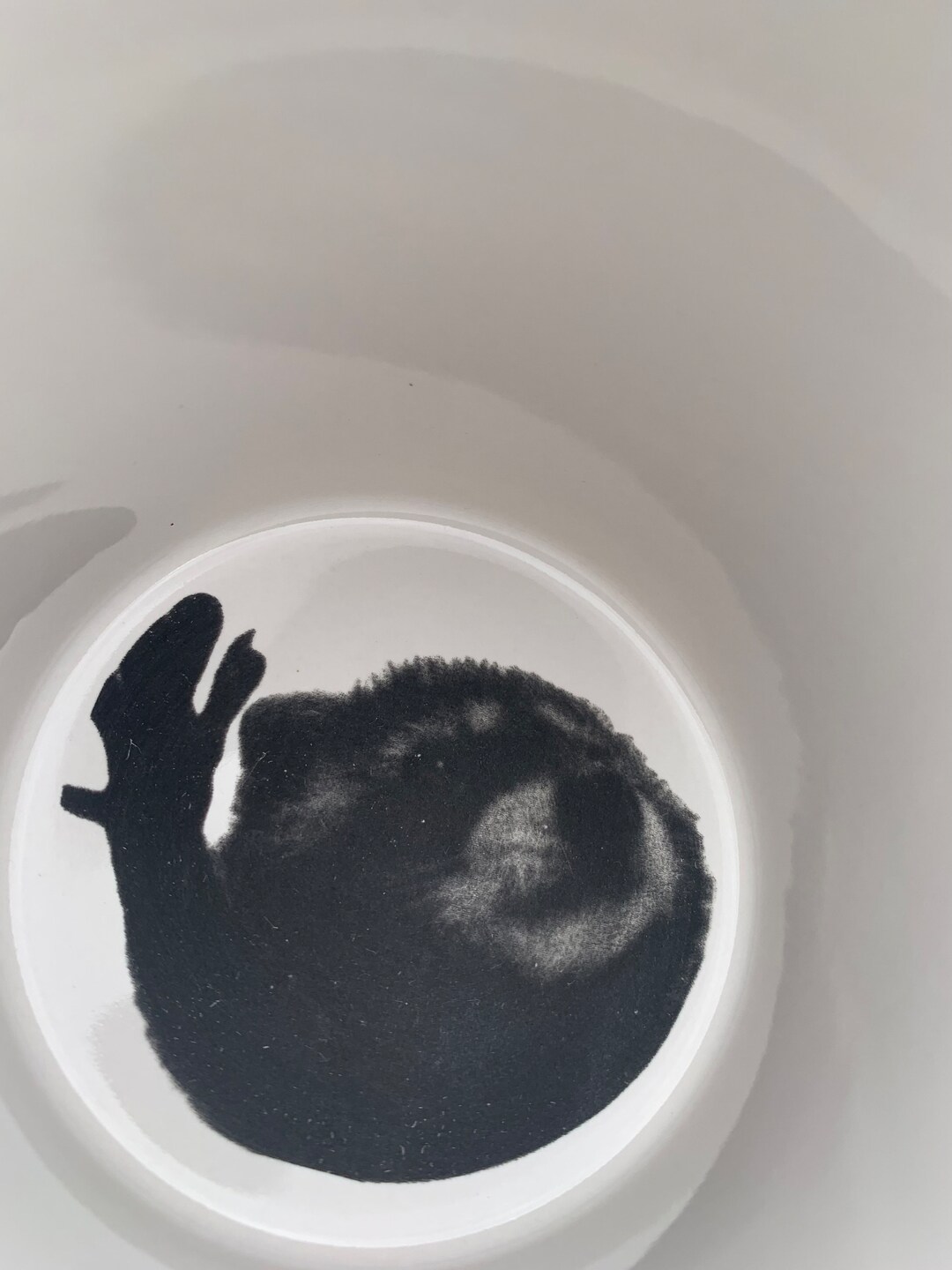 Pedro Pedro Pedro the Dancing Raccoon Mug, Custom Funny Meme, Viral Tik ...