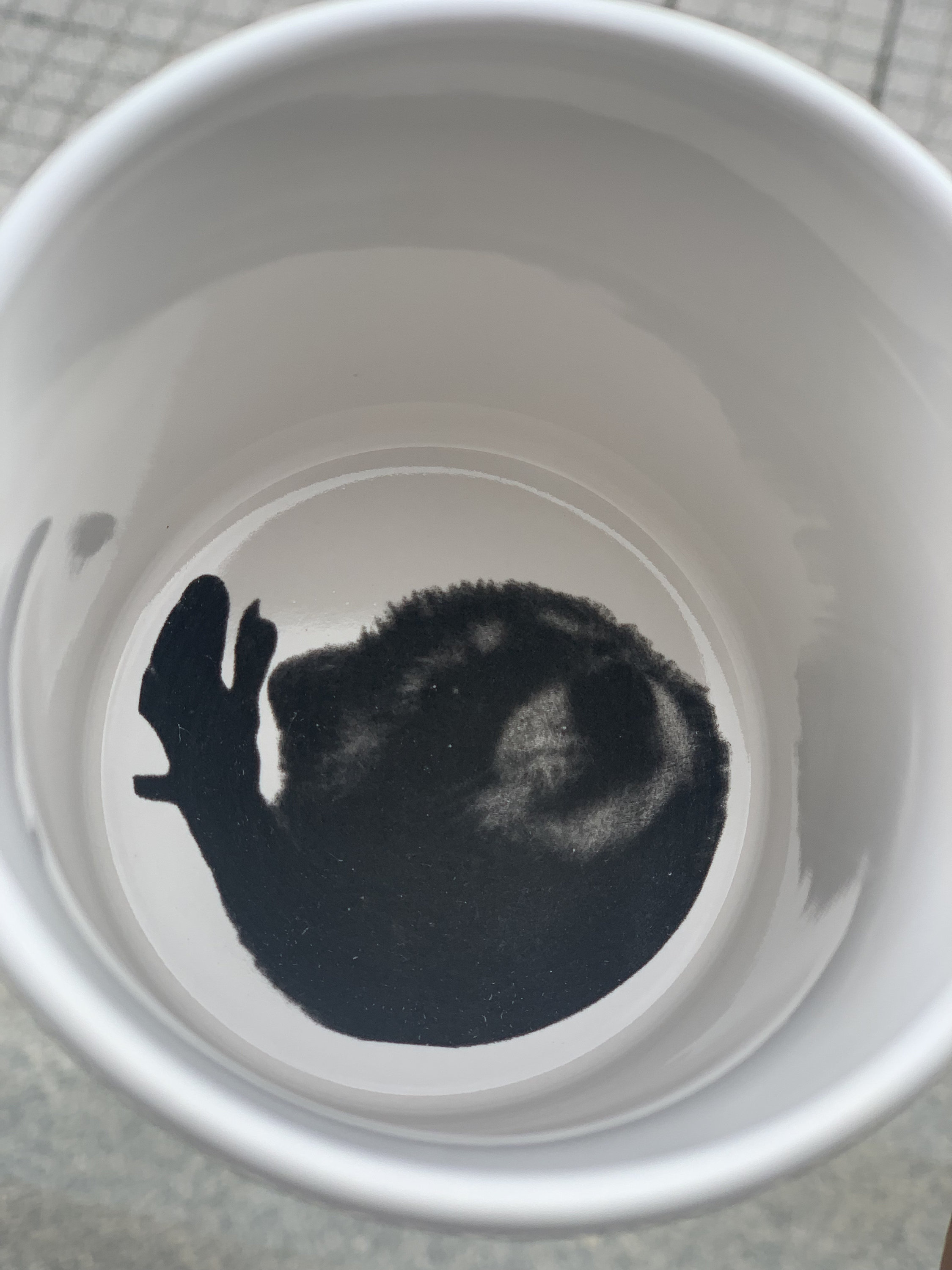 Pedro Pedro Pedro the Dancing Raccoon Mug, Custom Funny Meme, Viral Tik ...