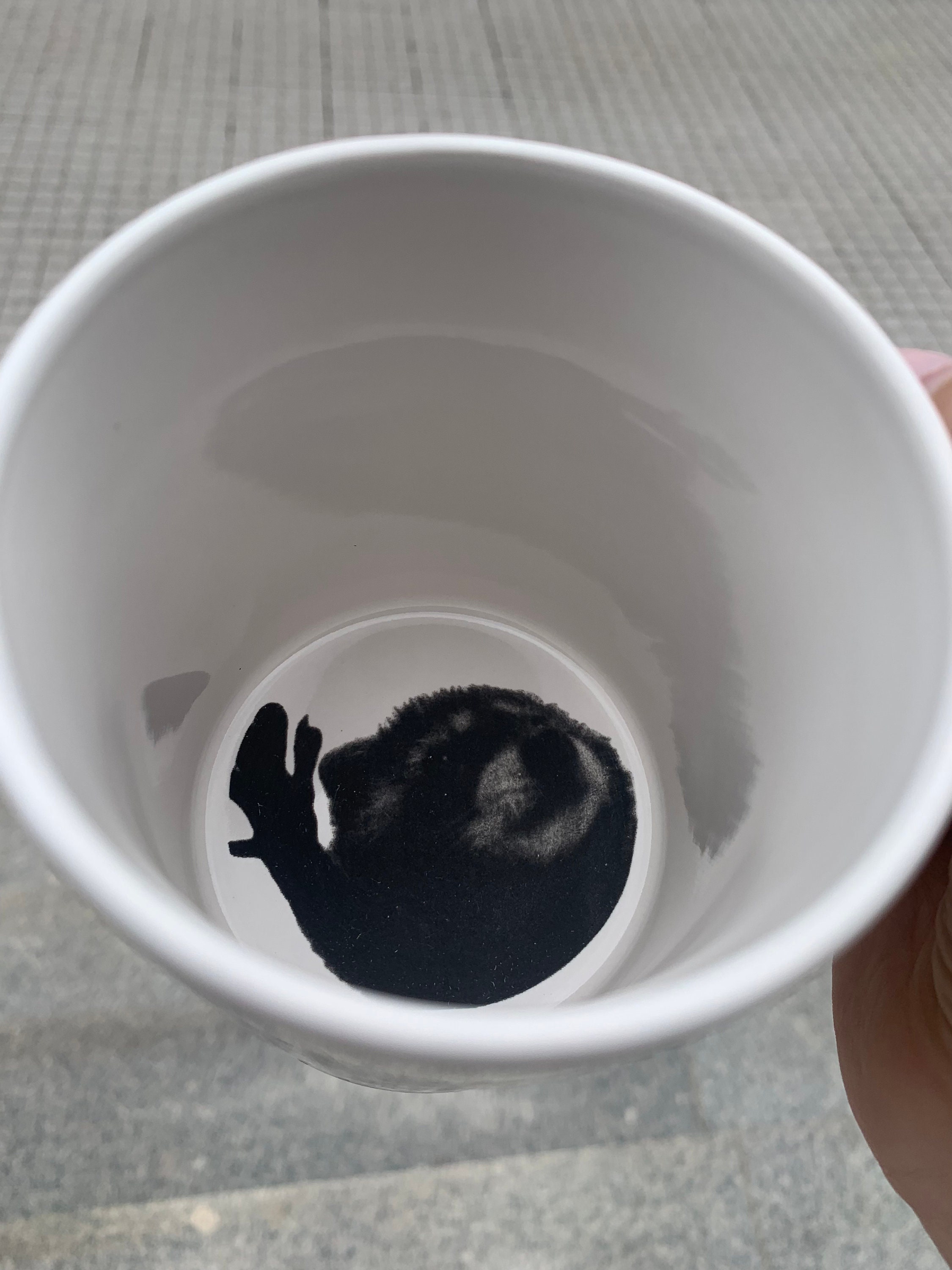 Pedro Pedro Pedro the Dancing Raccoon Mug, Custom Funny Meme, Viral Tik ...