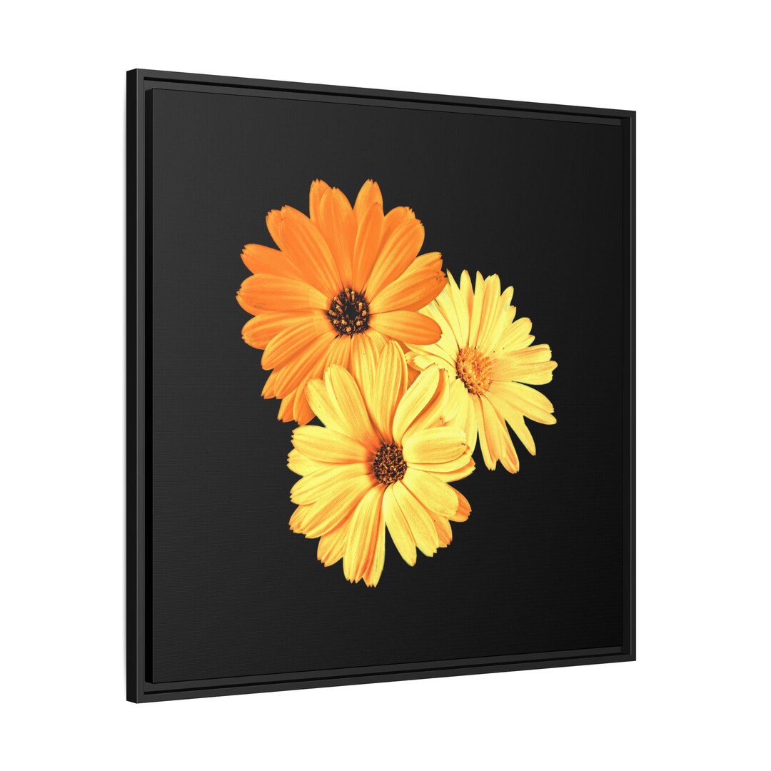 Signature Collection "floral Number 8" on Framed Canvas With American ...
