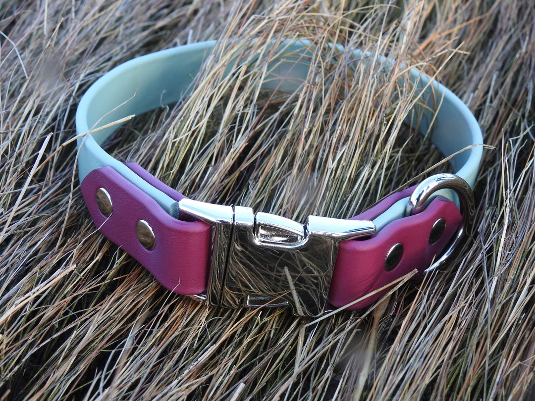Side Release Buckle / Dog Collar / Sage and Wine / Two Tone / Biothane ...