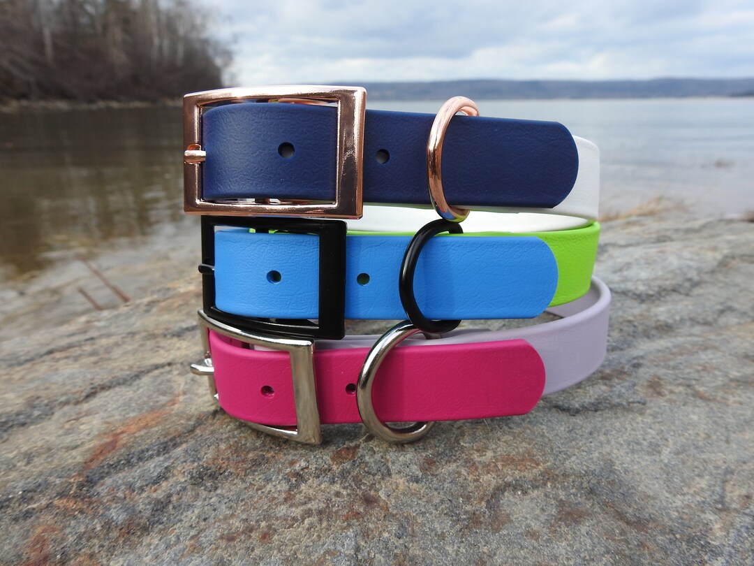 Biothane Dog Collar, Vegan Leather Dog Collar, Dog Collar, Two Tone - Etsy