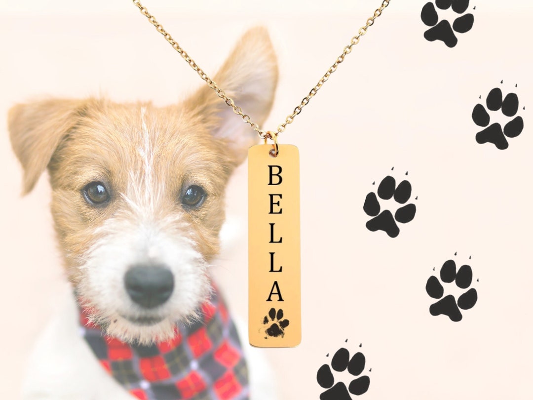 Custom Dog Paw Print Necklace Personalized Pet Name Pendant, Stainless ...