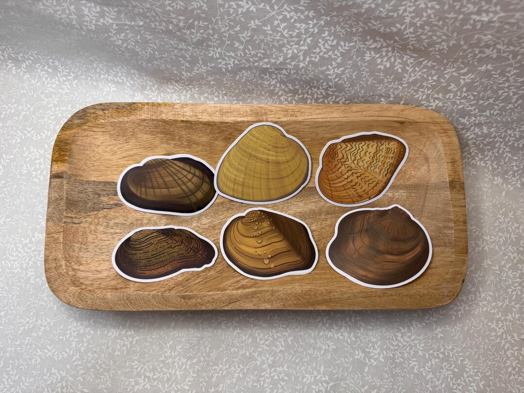 Freshwater Mussel Sticker, Nature Sticker, Wildlife Sticker for Laptops ...