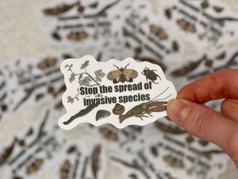 Invasive Species Awareness Sticker | Nature and Wildlife Decal for ...