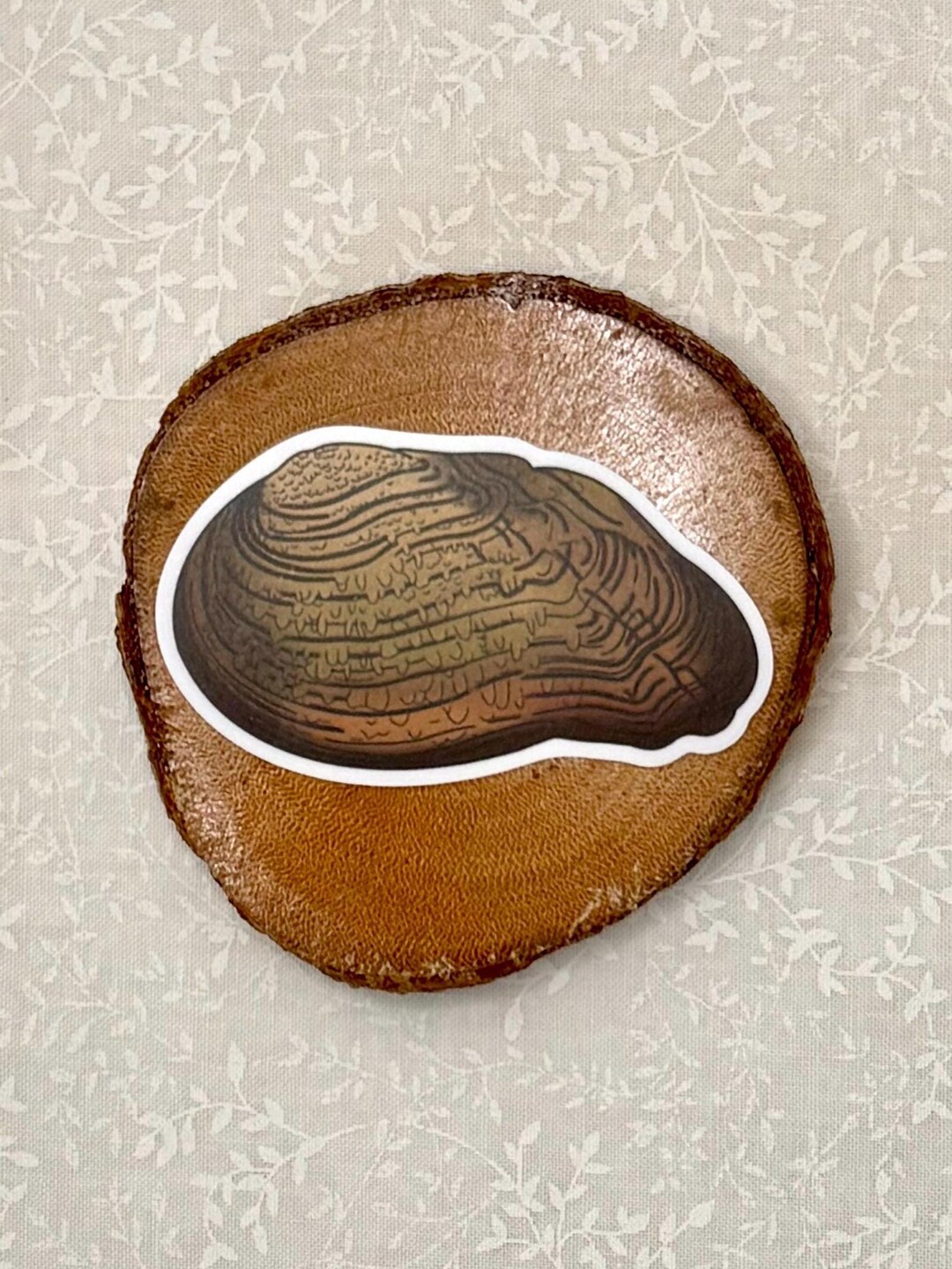 Freshwater Mussel Sticker, Pistolgrip, Nature Sticker, Wildlife Sticker ...