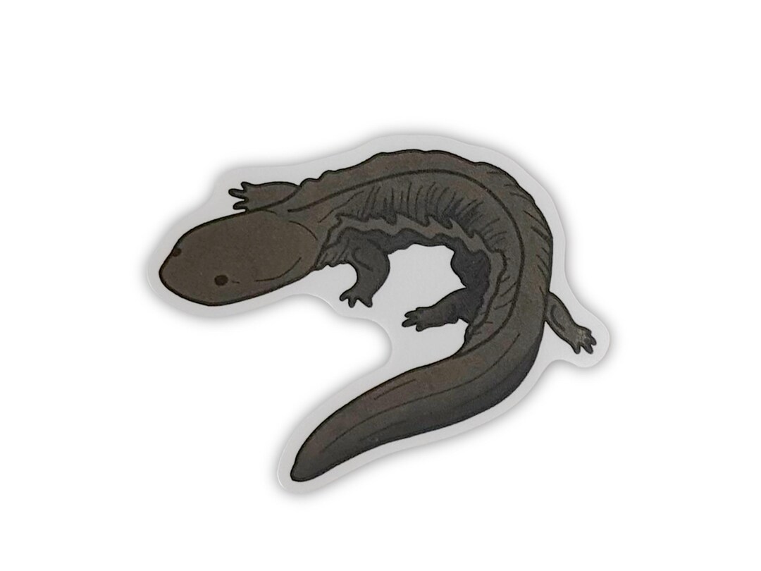 Hellbender, Nature Sticker, Wildlife Sticker for Laptops, Water Bottles ...