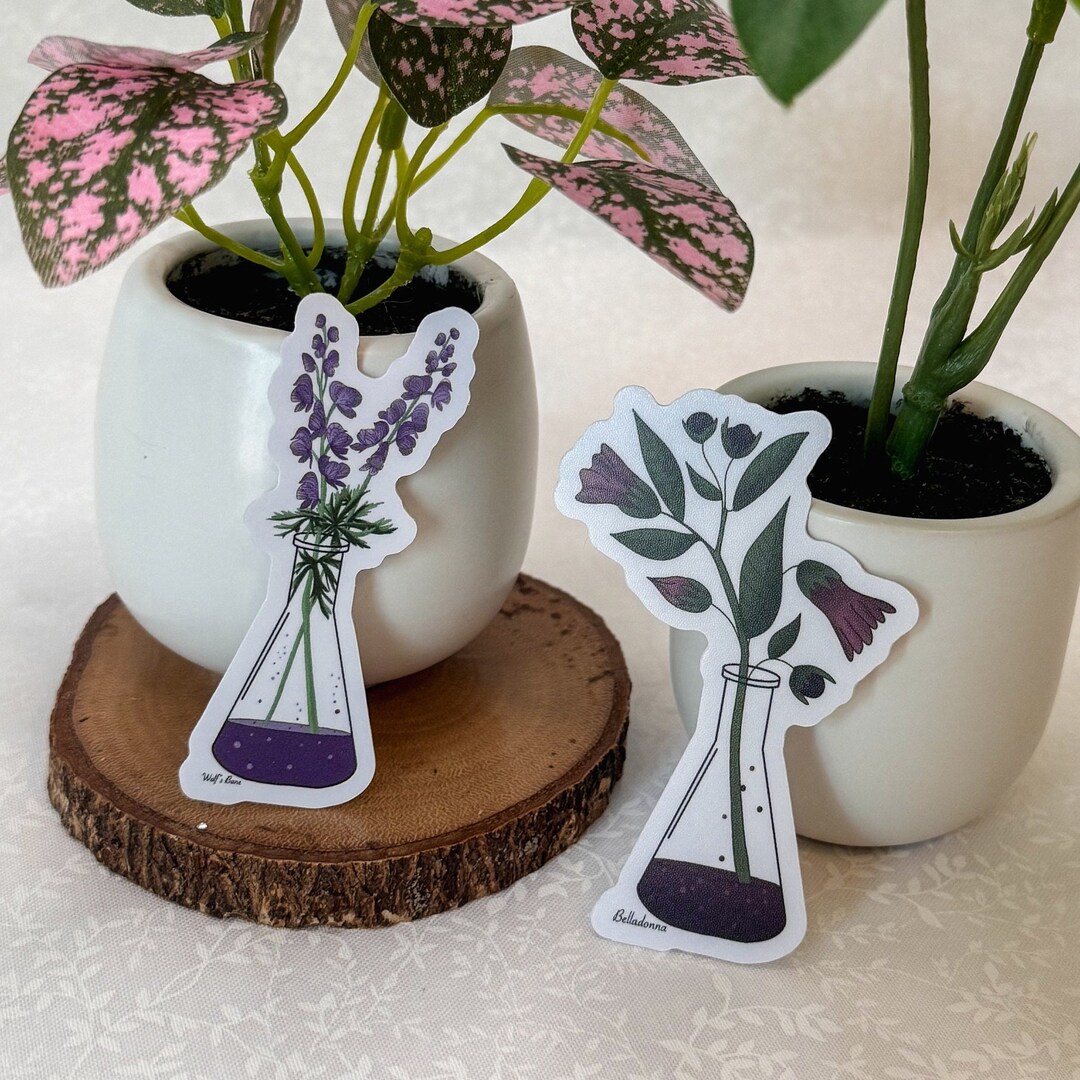 Erlenmeyer Flask With Poisonous Flower, Science, Laboratory, and Floral ...