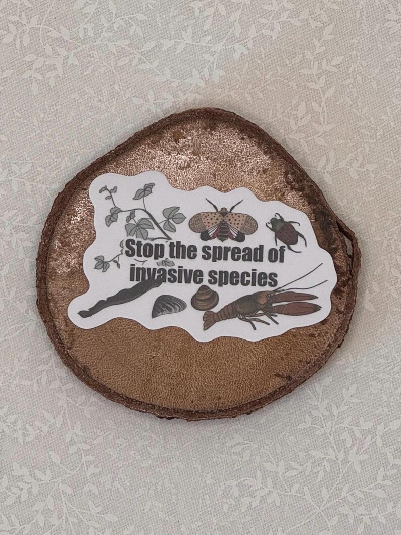 Invasive Species Awareness Sticker | Nature and Wildlife Decal for ...
