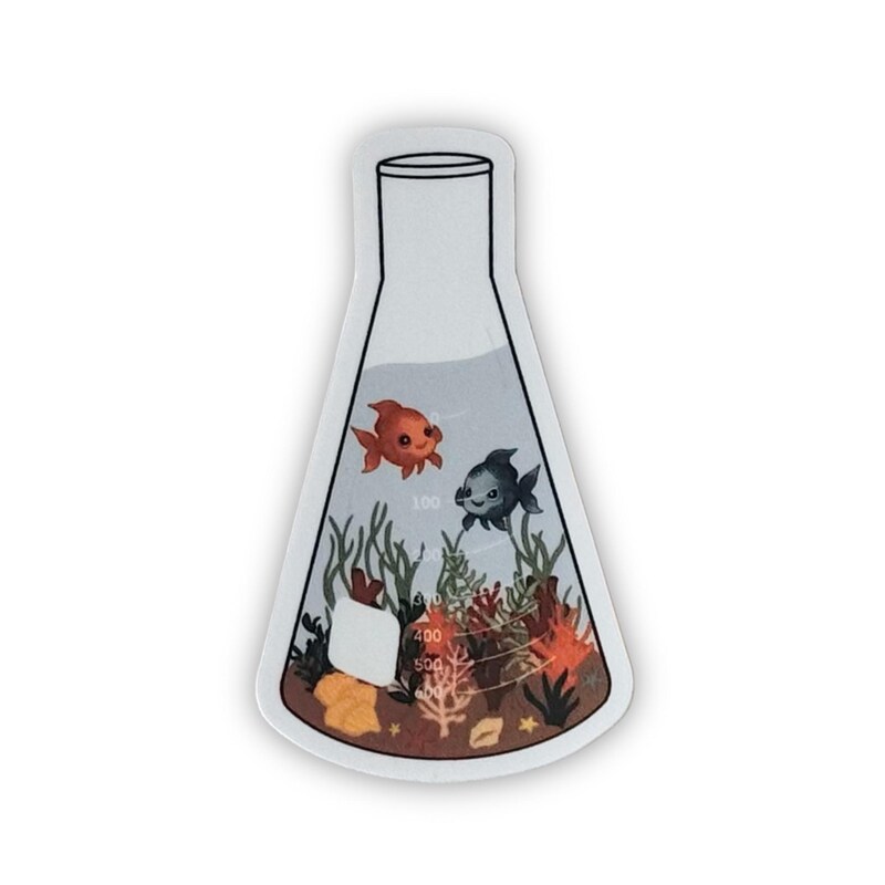 Erlenmeyer Flask - Etsy