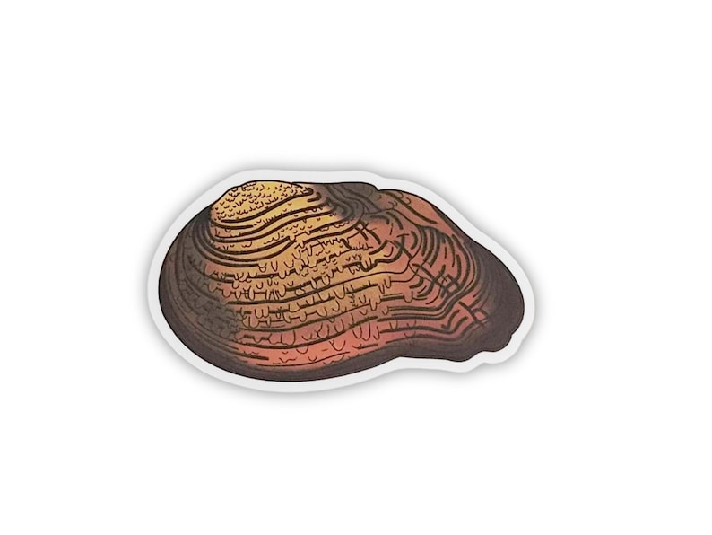 Freshwater Mussel Sticker, Pistolgrip, Nature Sticker, Wildlife Sticker ...