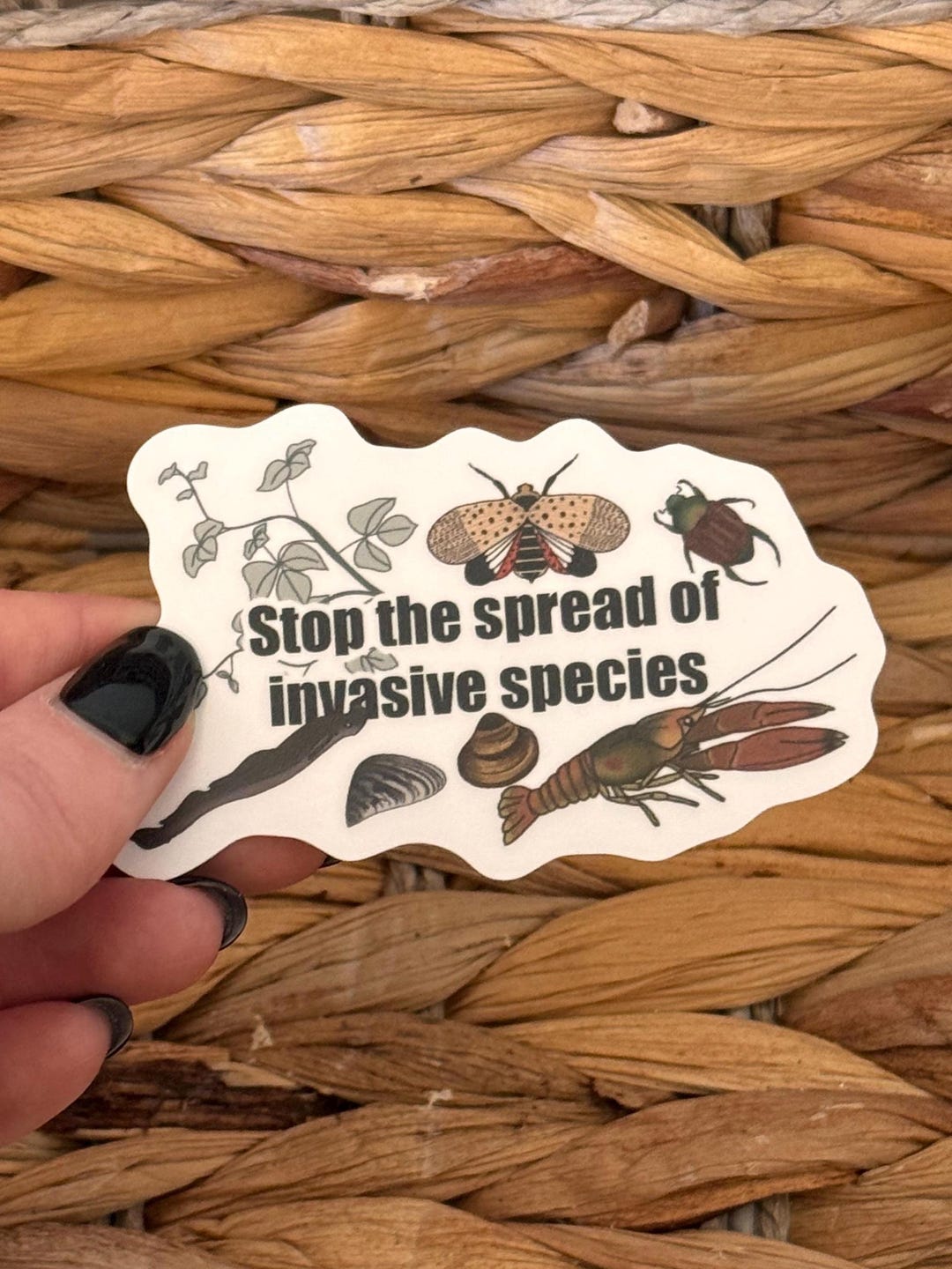 Invasive Species Awareness, Nature Sticker, Wildlife Sticker for ...
