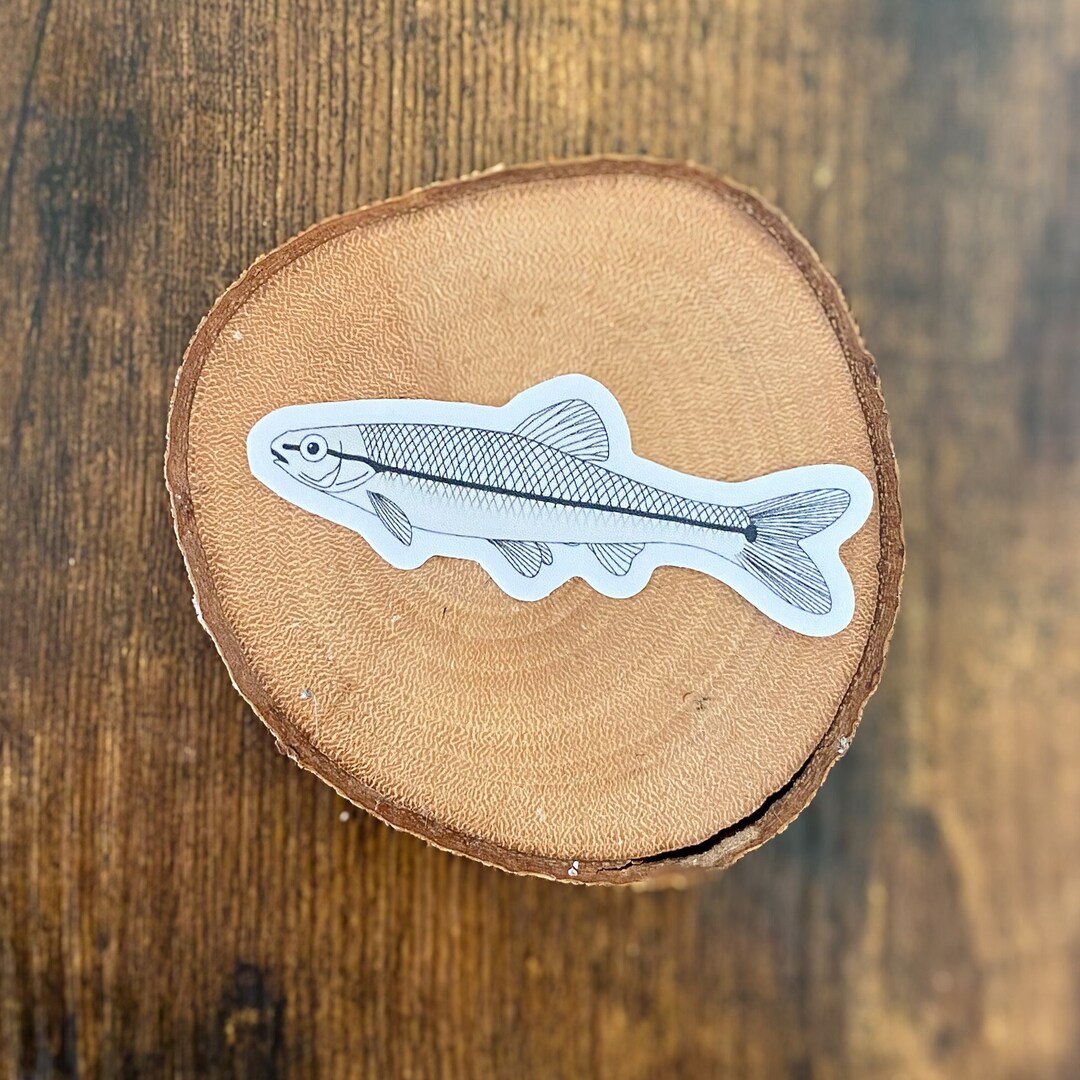 Bluntnose Minnow Wildlife Mandala Waterproof Vinyl Sticker, Unique ...