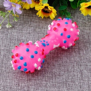 Dog Squeaky Bone pack of 2 - Etsy