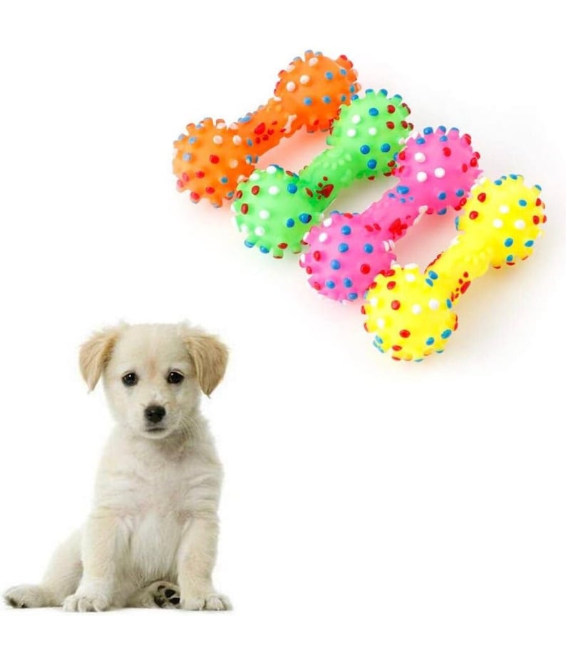Dog Squeaky Bone pack of 2 - Etsy