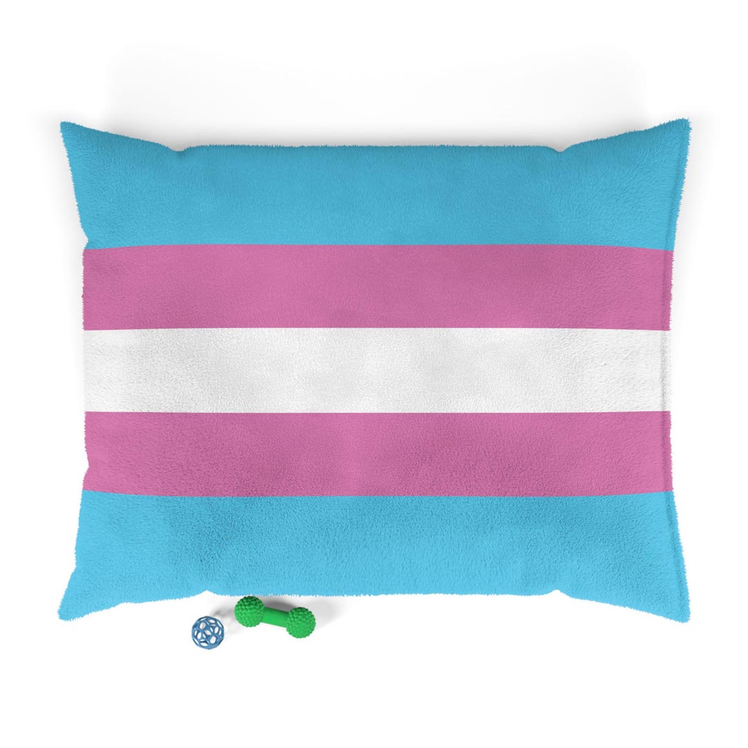 Transgender Pride Flag Pet Bed - Etsy