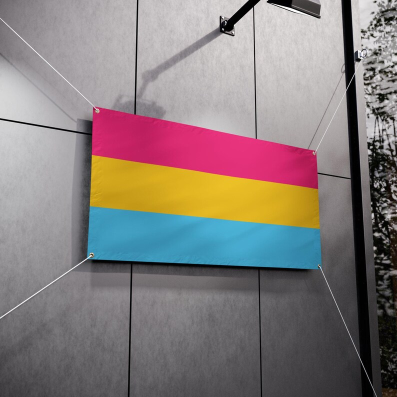 Pansexual Pride Flag Vinyl Banner, Colorful Outdoor Decor for LGBTQ+ ...