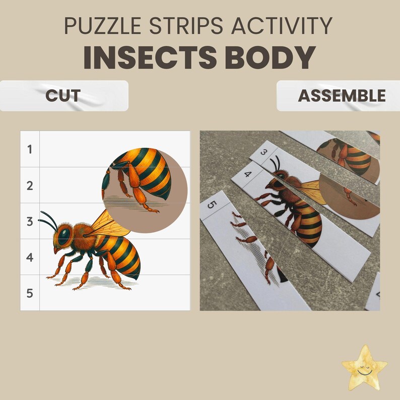 Insect Anatomy Puzzle Strip Counting Game | Montessori Inspired ...
