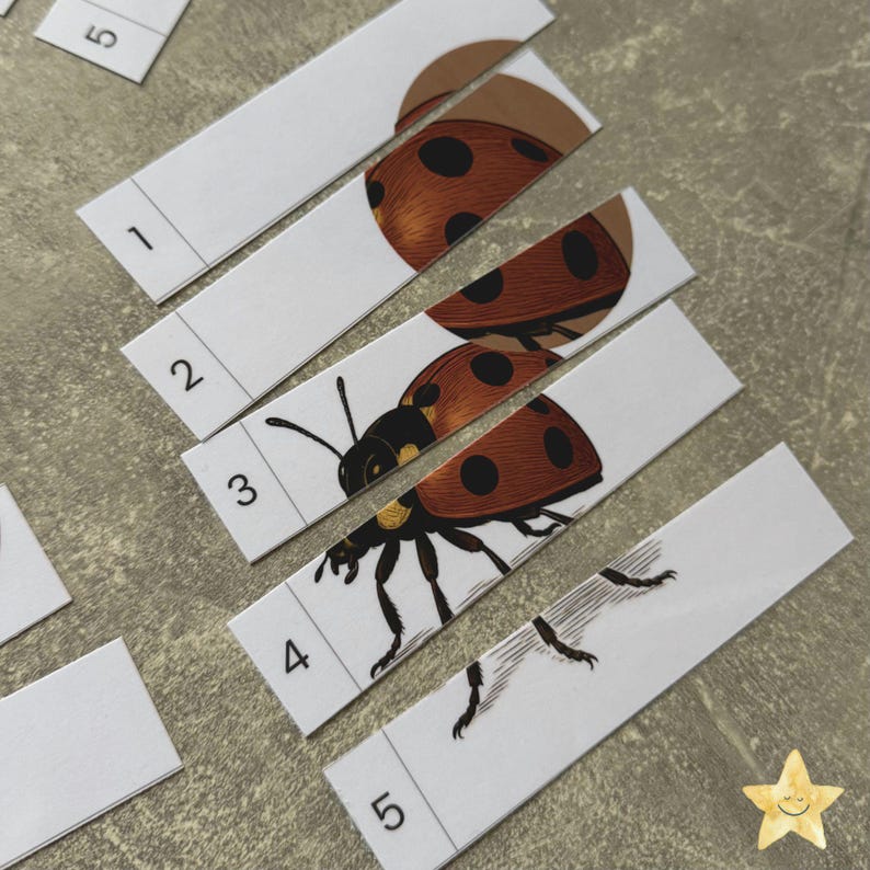 Insect Anatomy Puzzle Strip Counting Game | Montessori Inspired ...
