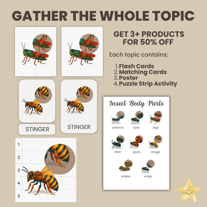 Insect Anatomy Matching Game | Montessori Printable Activity ...