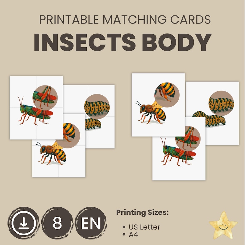 Insect Anatomy Matching Game | Montessori Printable Activity ...