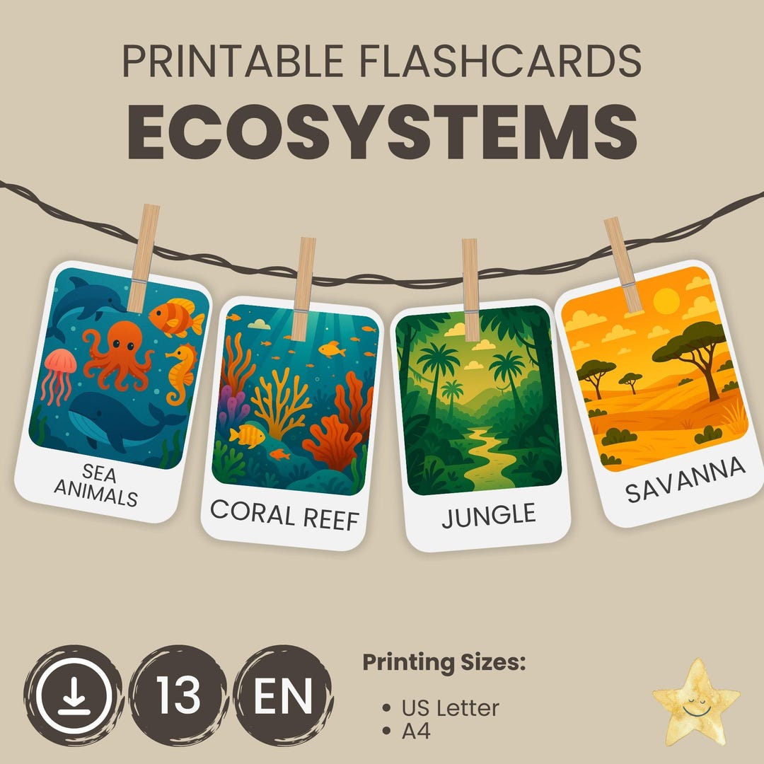 Ecosystems Flash Cards for Kids | Montessori Printable | Homeschool ...