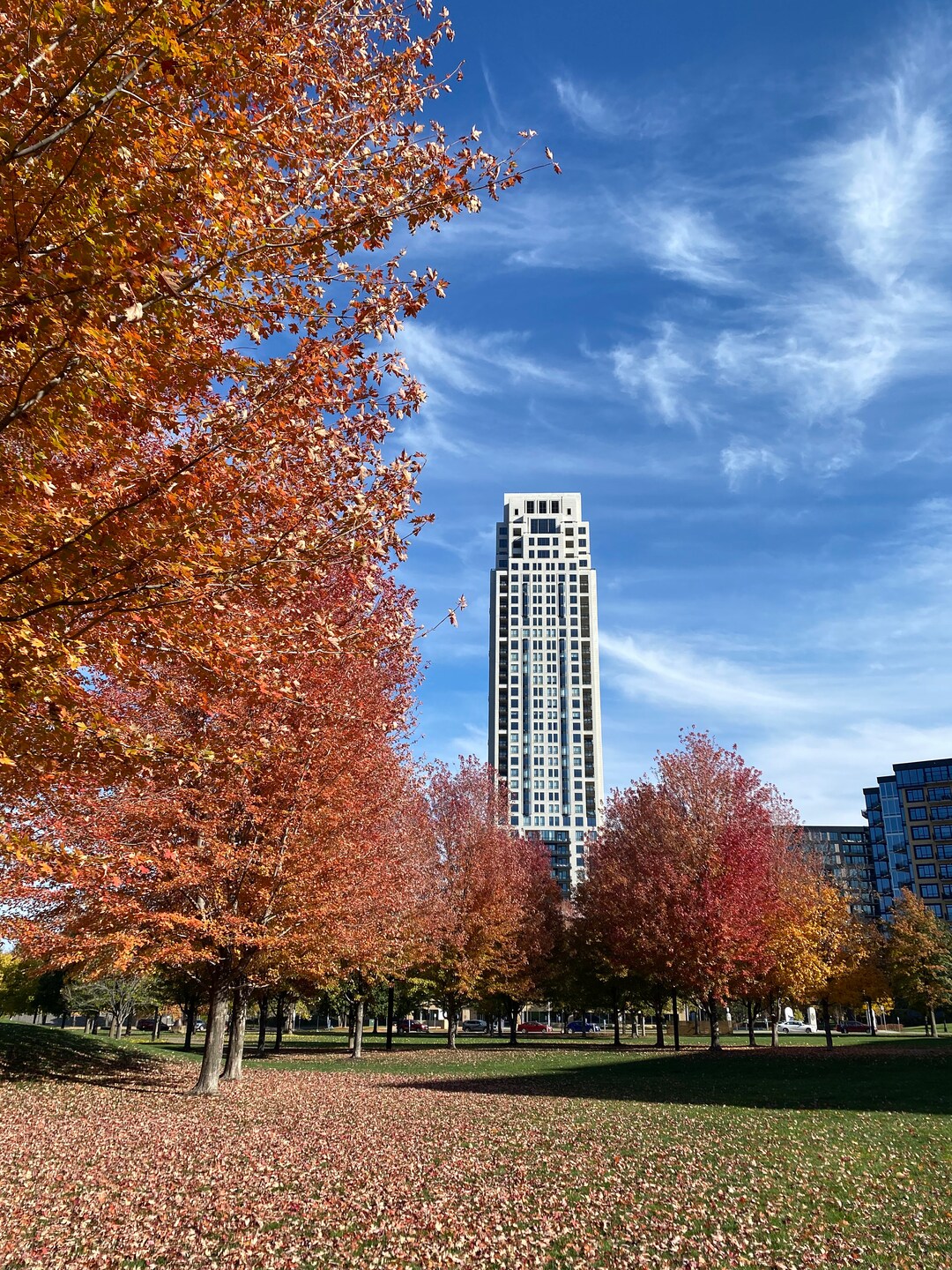 Eleven Building - Etsy