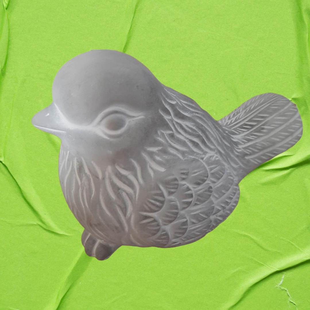Latex Mold Latex Mold Large Bird Mold - Etsy