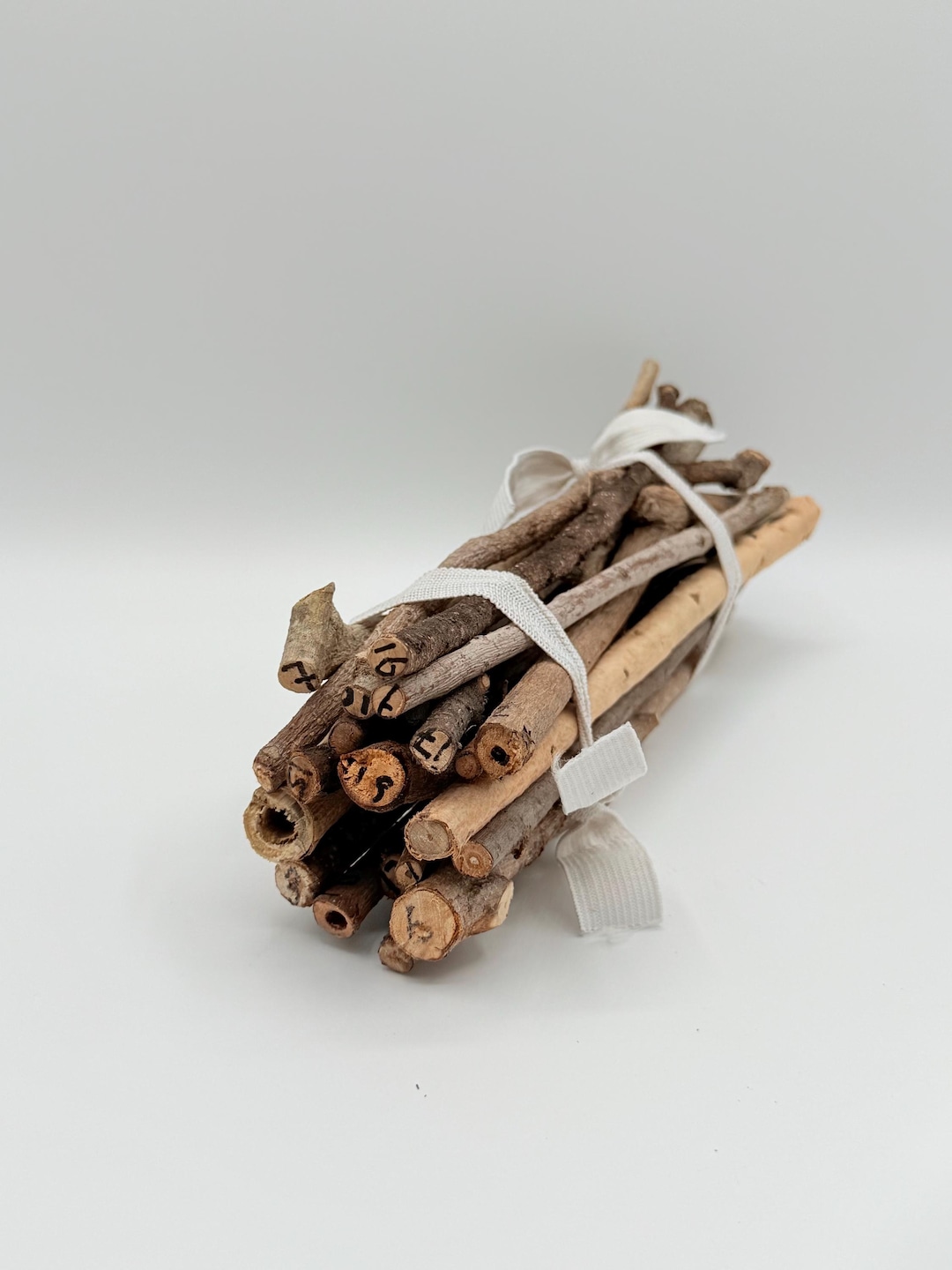 21 Palo Sticks | 10 Inch Bundle - Etsy