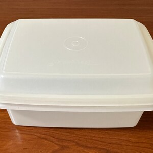 Vintage Tupperware Freeze-n-save Clear Opaque Containers and Lids - Etsy