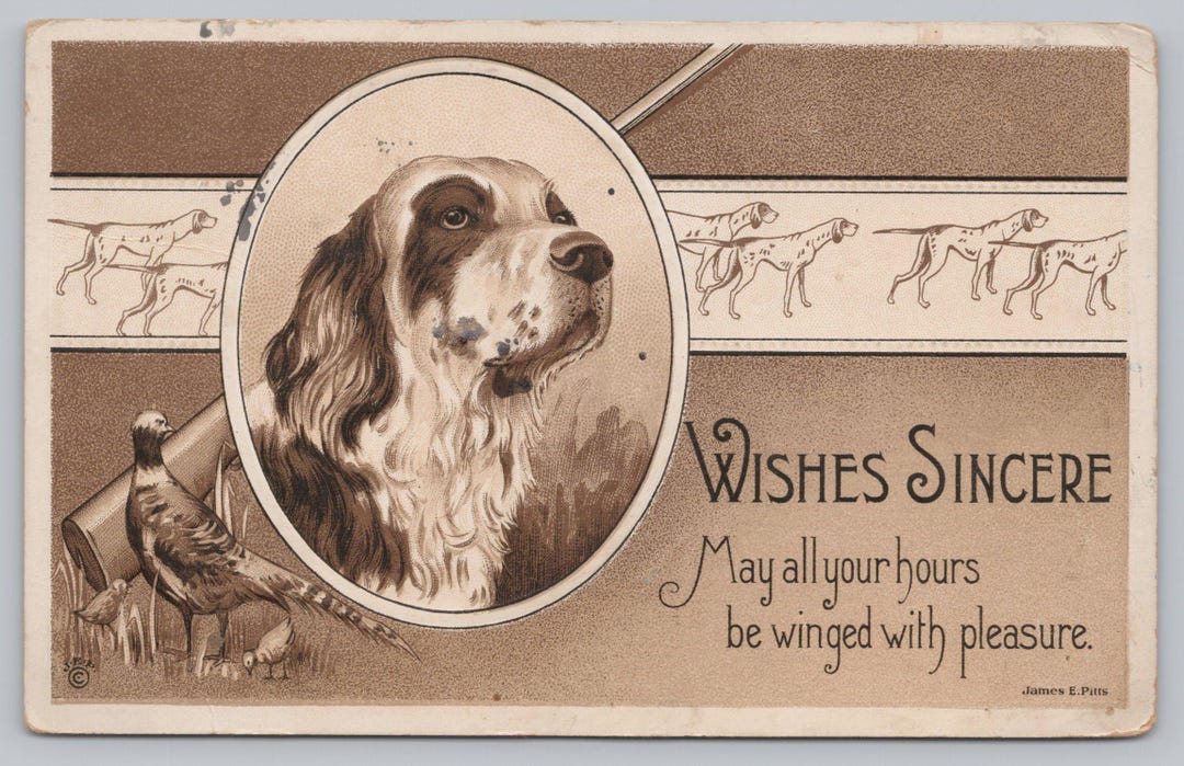 Antique Postcard, Hunting Dog Portrait, Pheasant & Gun, Wishes Sincere ...