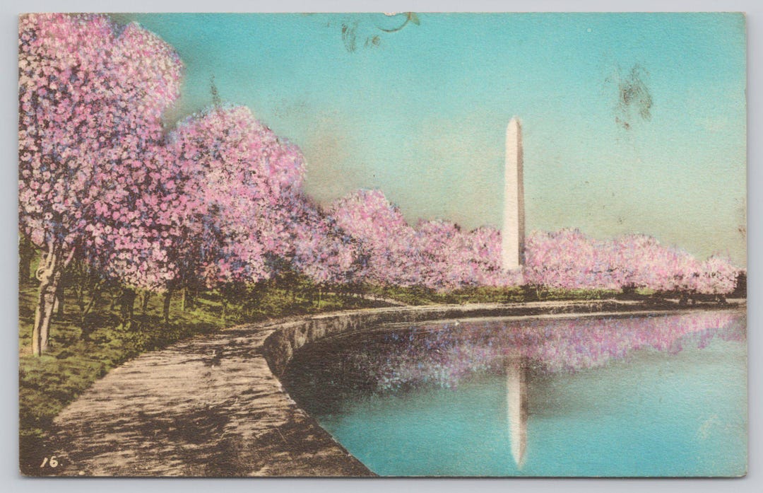 Antique Postcard, Japanese Cherry Trees & Washington Monument, Potomac ...