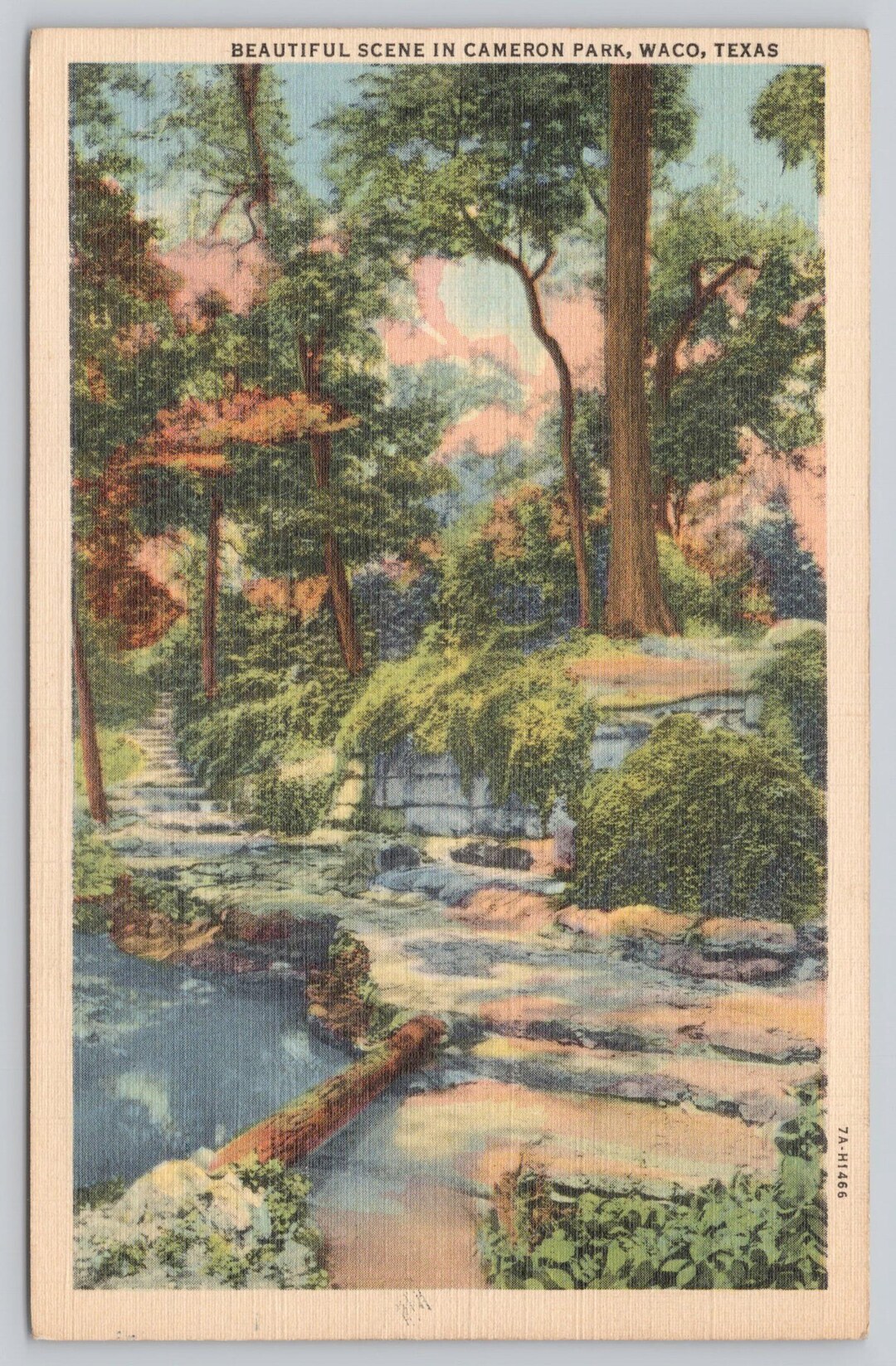 Antique Postcard, Beautiful Scene in Cameron Park, Waco Texas, 1940s ...