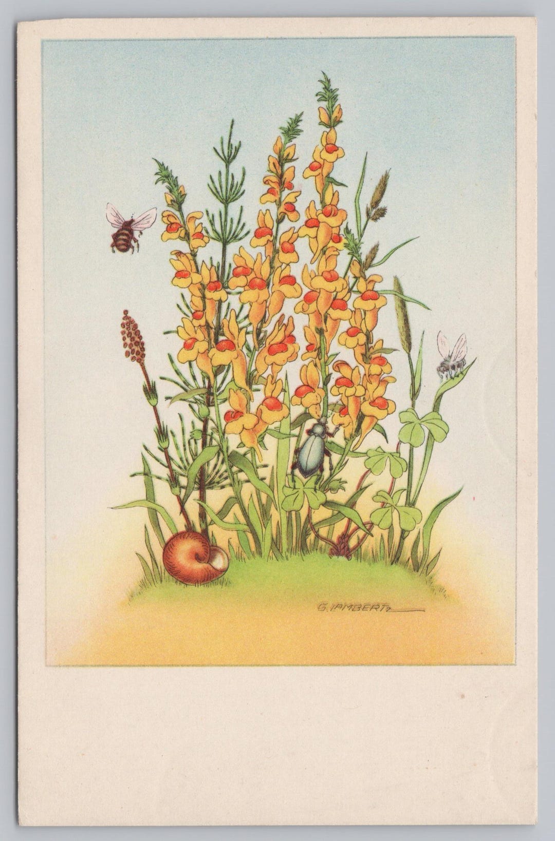 Antique Postcard, Floral Garden Art, With Bees & Insects, 1940s ...