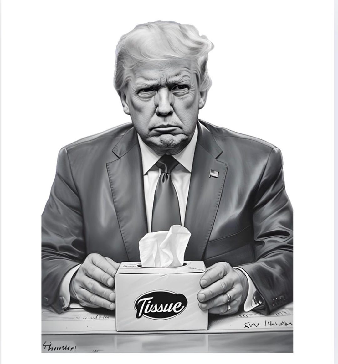 Funny President Trump Tissue Clipart PNG Digital Files, Transparent ...