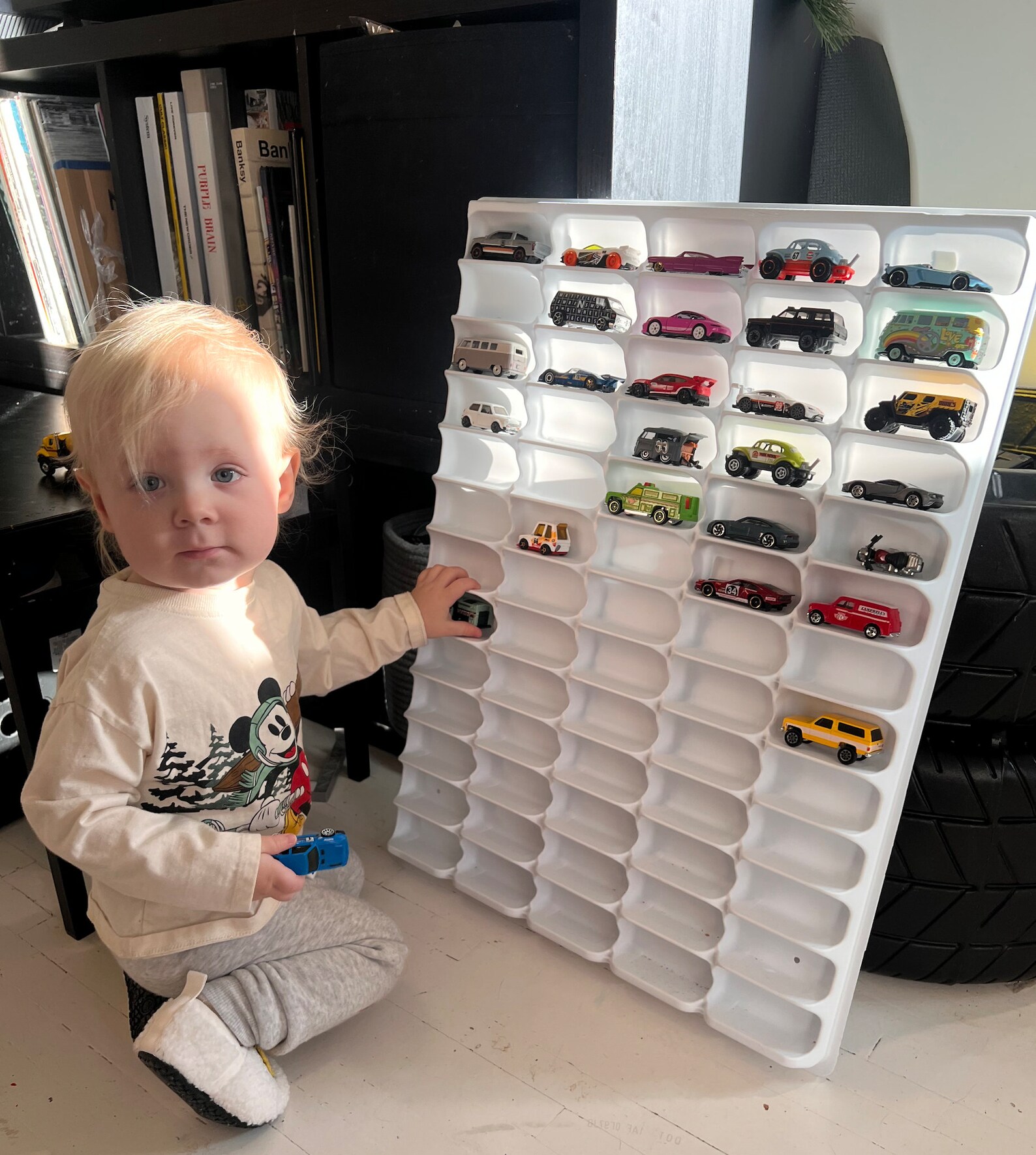 Die-cast Organizer for Toddler Playroom or Nursery Compatible With Hot ...