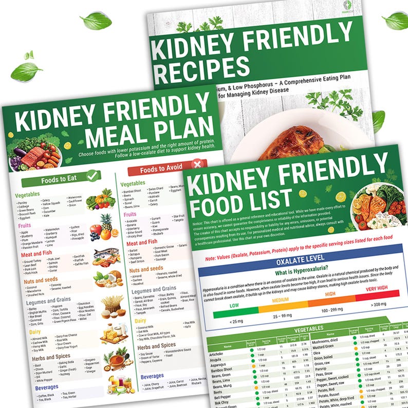 3pcs Kidney Friendly Food List Chart – Diet Guide for CKD, Dialysis ...