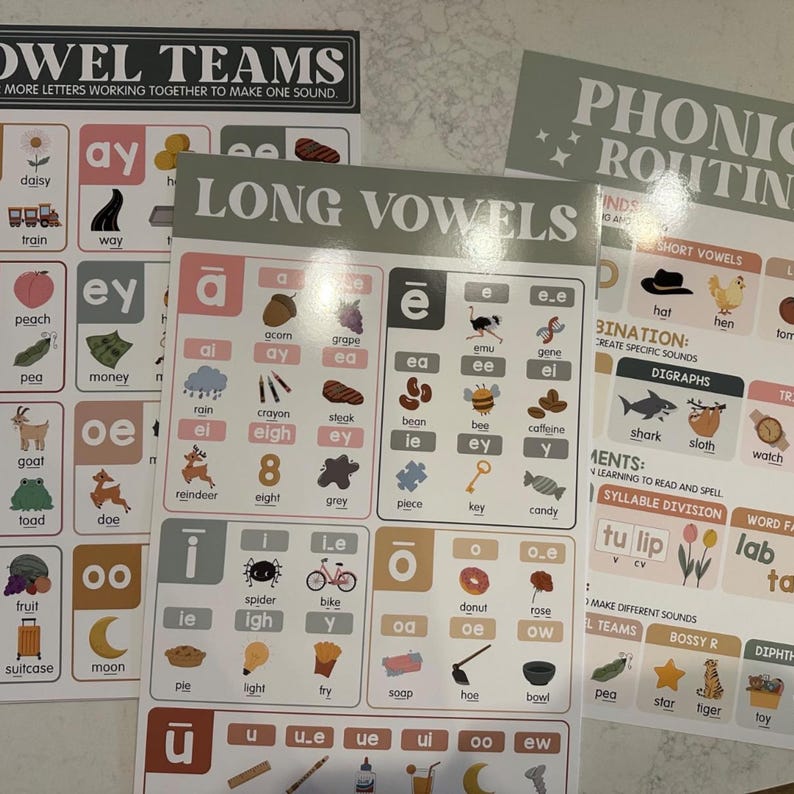 English Grammar Posters: Laminated Classroom Wall Decor for ELA (11x17 ...