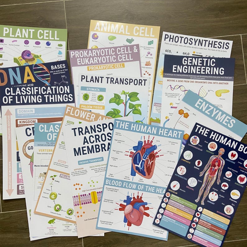 15 Biology Posters for Classroom – Laminated Life Science Educational ...